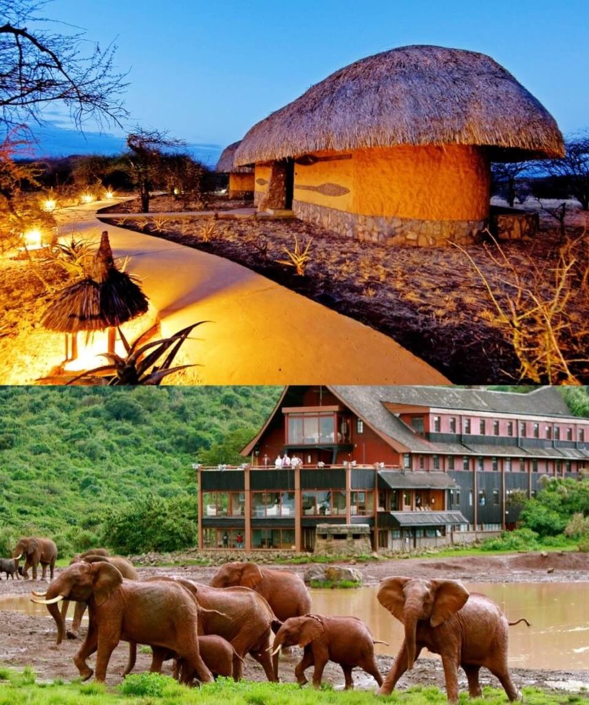 5 Day Safari Kenya - Southern Valley Safaris